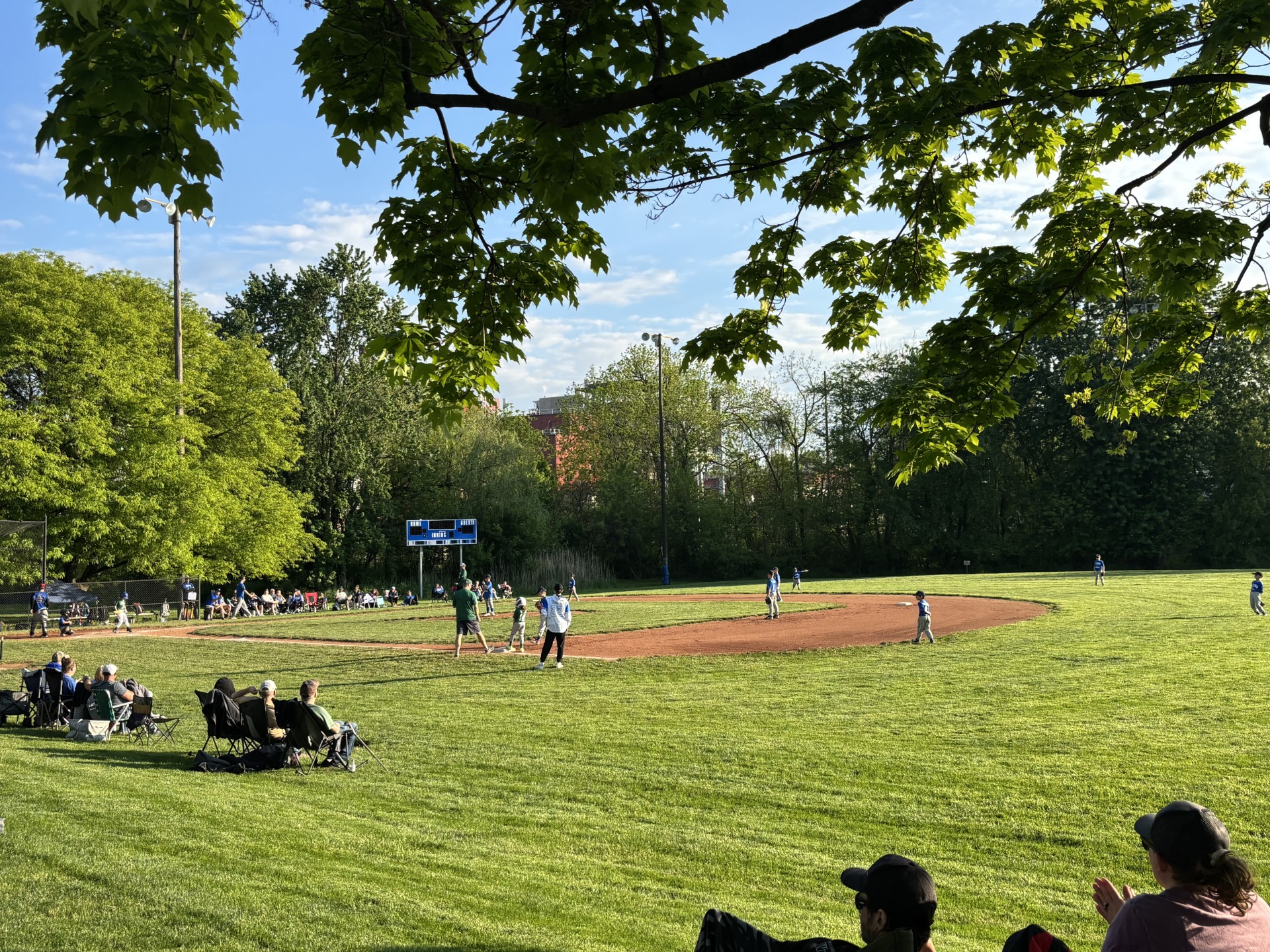 8U Playoffs Are Here, 10U Race Nearing the Finish | Etown Bears Club